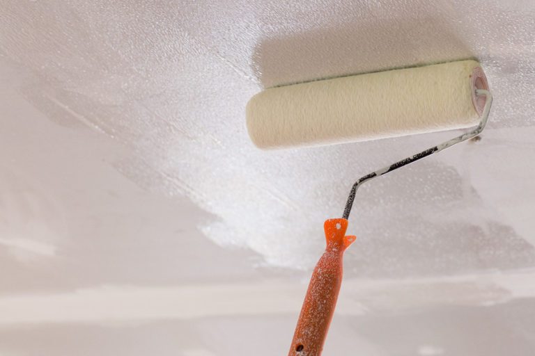 Everything You Need to Know About Ceiling Painting
